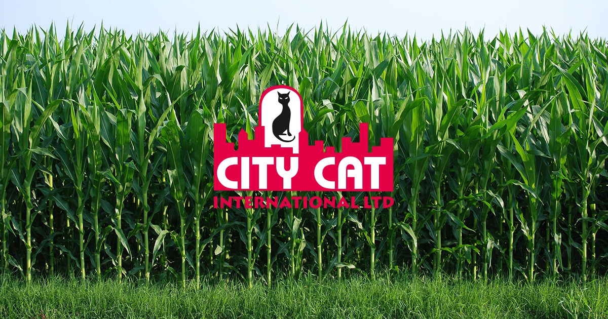 Fibrizer Hammer | Sugar Mill Machinery Manufacturer & Exporter | City ...